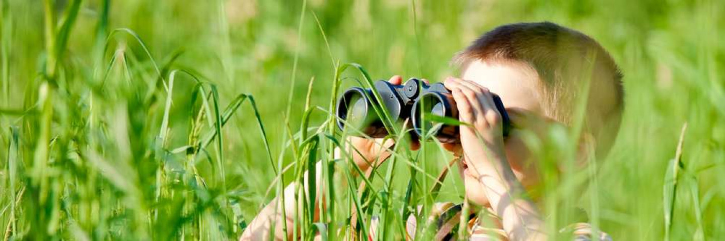 Summer Camp 2022 | Discovery Years Child Learning Center